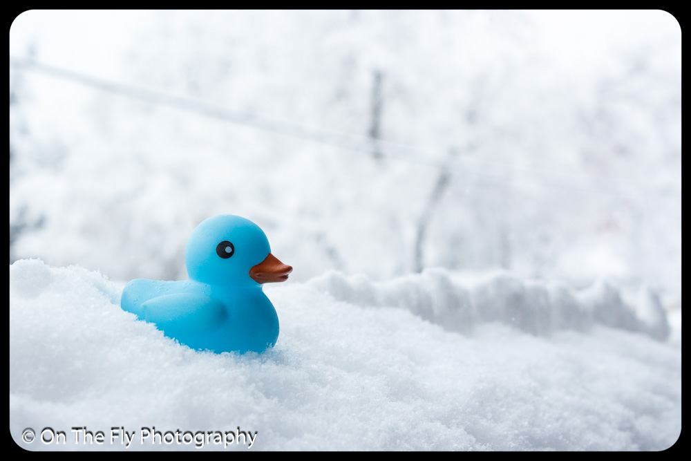 Lighting Duck and Gerald in the Snow | On The Fly Photography